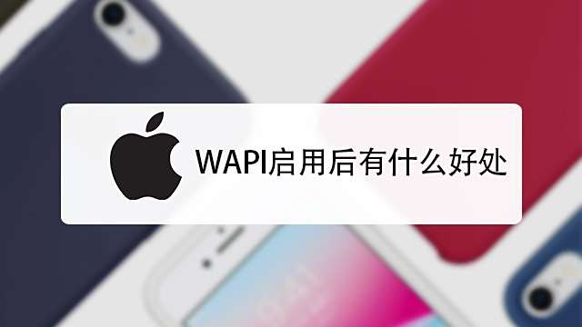 苹果手机里的“启用WAPI”是什么功能？-百度经验